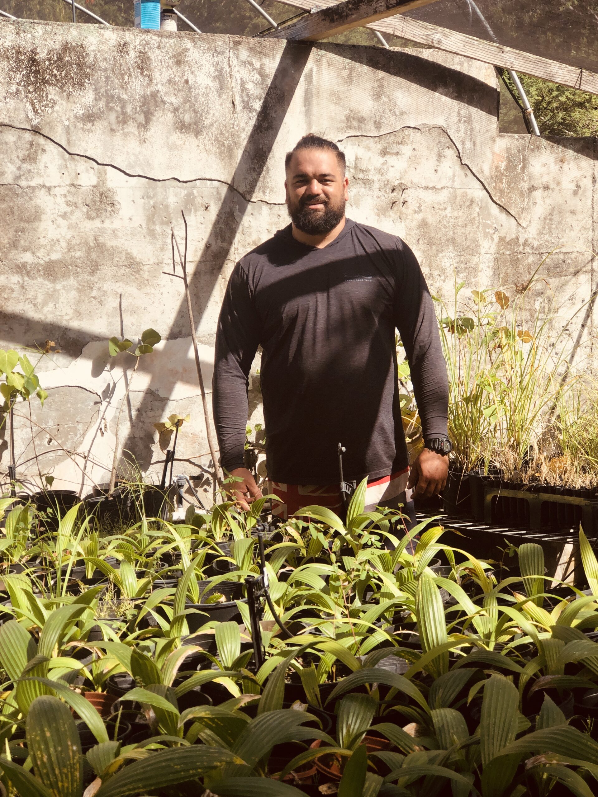 Bill intends to help nonprofits grow native plants | News, Sports, Jobs ...